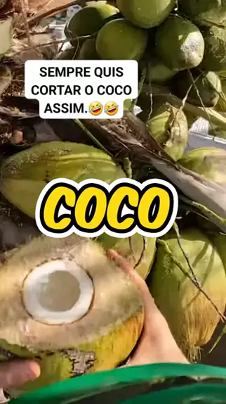 thehalococo TikTok | Discover