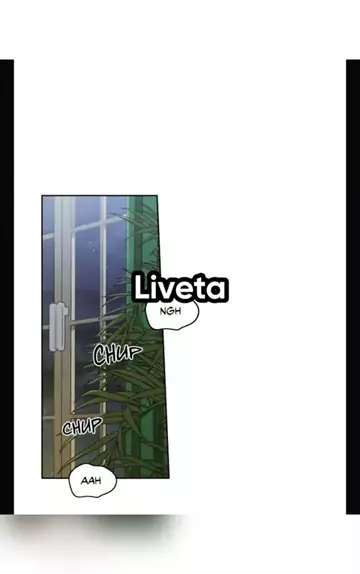 liveta chap 25