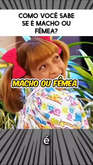 macho ou femea:como saber se é macho ou fêmea