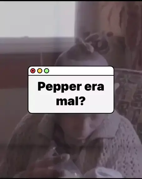 pepper0 family siblings