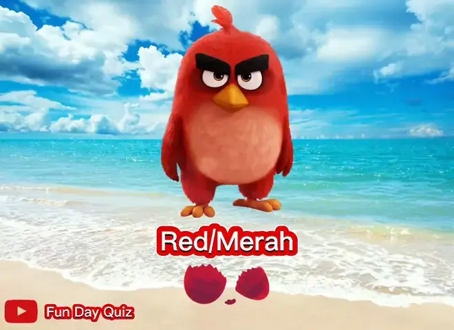 talking red bird apk