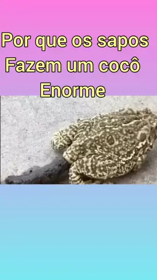 como é o cocô do sapo