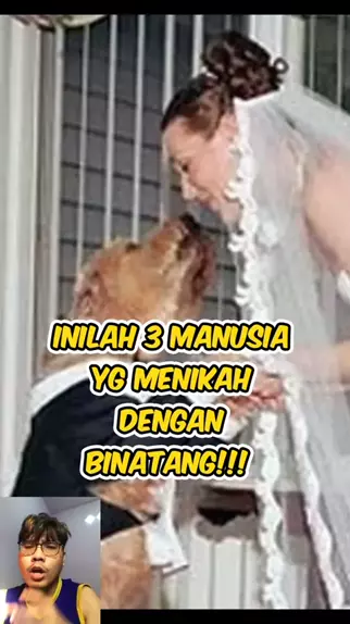 manusia kawin sama hewan
