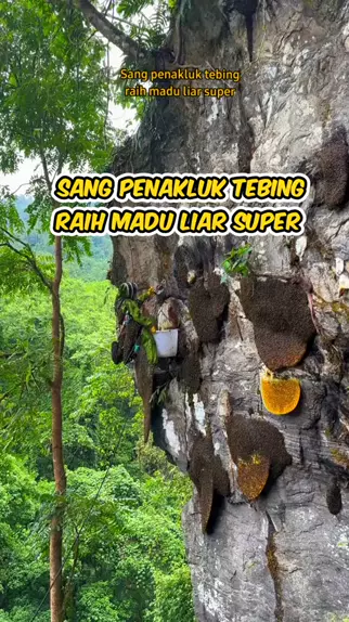 bro musang pelet sange | Discover