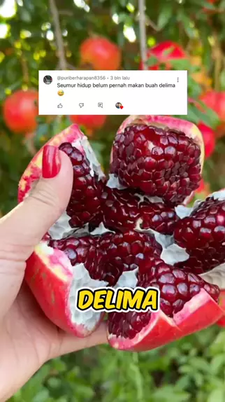 aline mota singer & nara-aline-mota-de-lima| Disco ...| Kwai