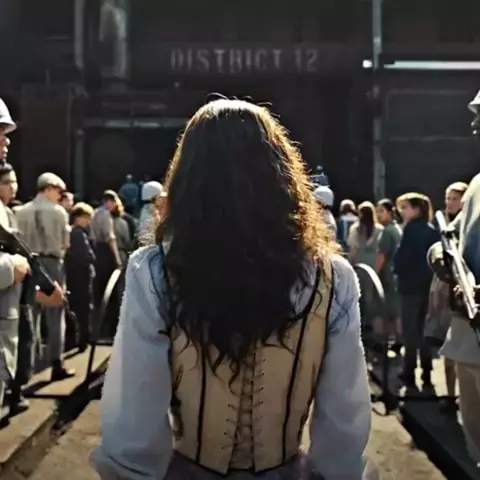 district 12 symbol hunger games