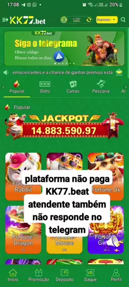 serjara rabbit & ts serja rabbit| Discover