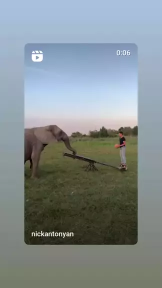 nik antonyan lpsg | Discover