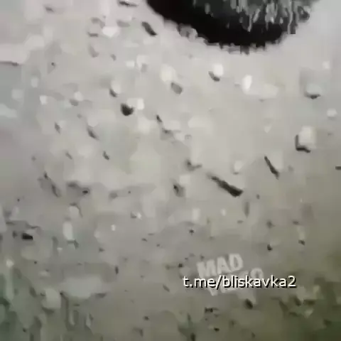 gw2 blish & blish gw2| Discover