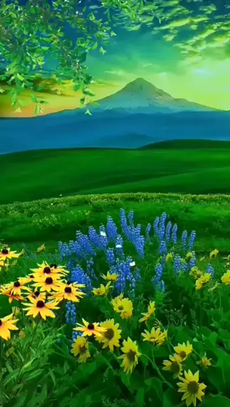 today's spotle answer of the day | Discover