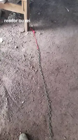 rea doren | Discover