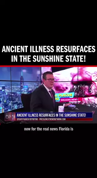 newstar models & newstar-sunshine.info| Discover