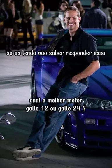 gallo 12 ou gallo 24