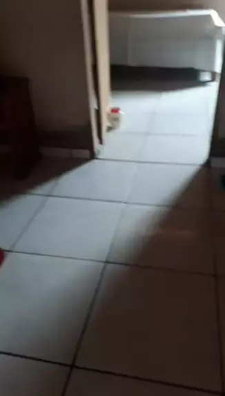 cumatozz face reveal