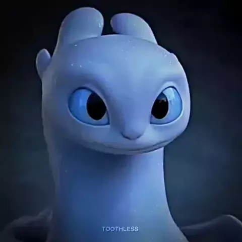 toothless teddie leak