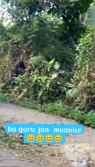 janguru