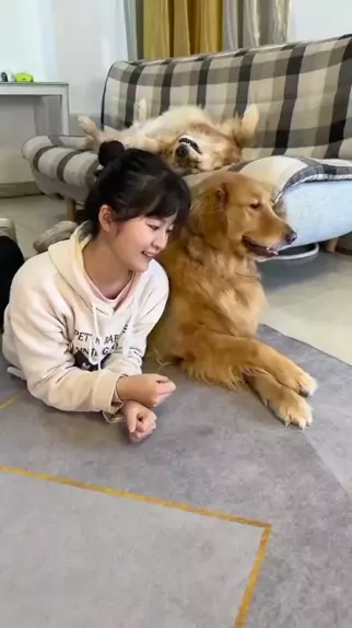 cute rouge the bat art | Discover